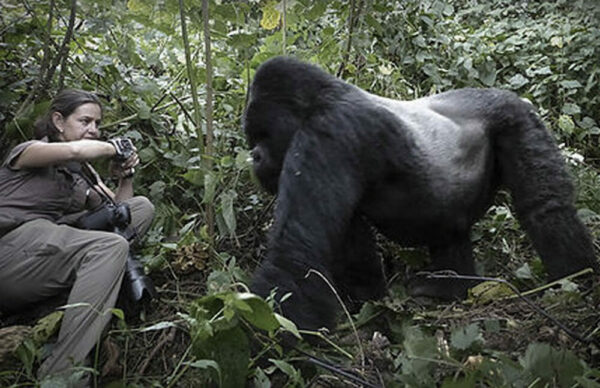 Introducing Trai Anfield’s Photographic Safaris - Sikeleli Travel ...